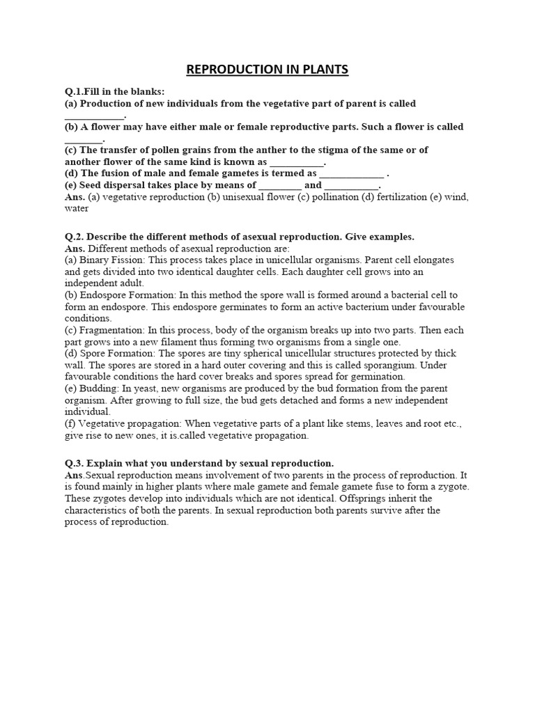 Reproduction in Plants | Download Free PDF | Sexual Reproduction | Flowers
