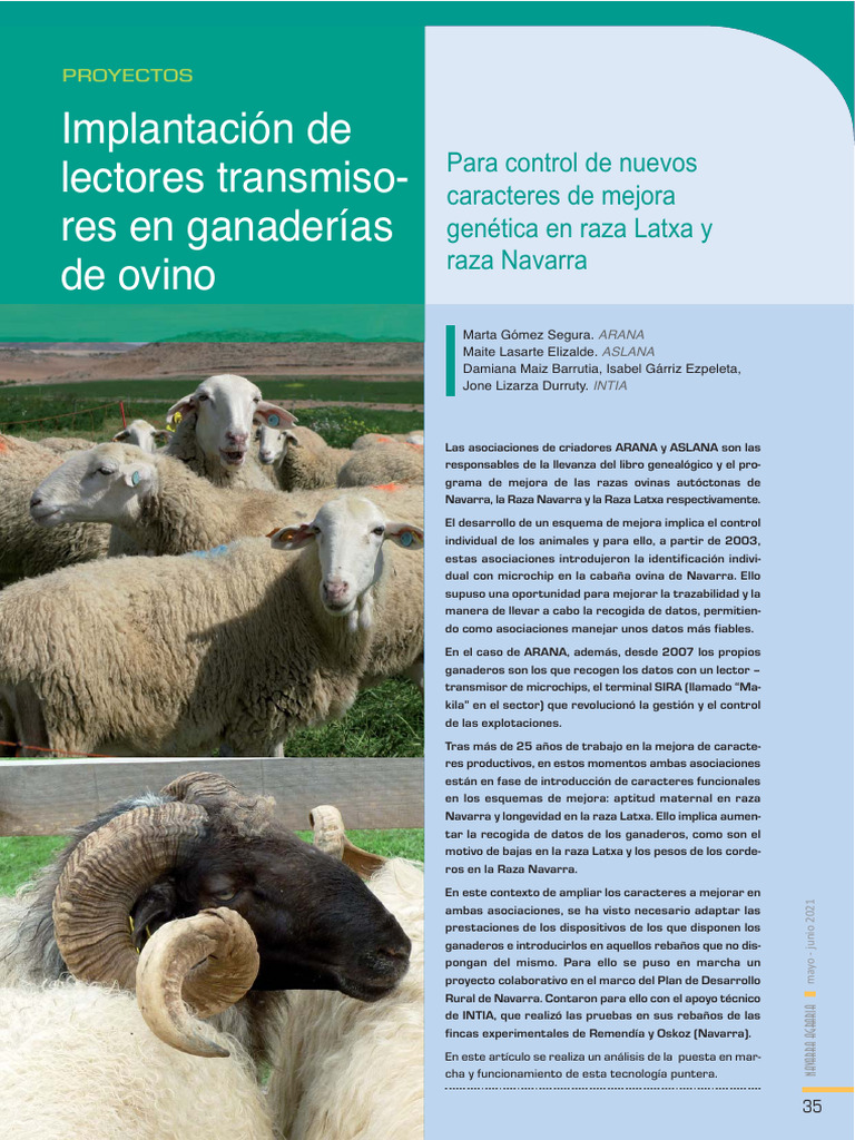 Proyecto Intia - Inplantaciones de Trasnmisores de Ovino | PDF | Oveja | Red mundial
