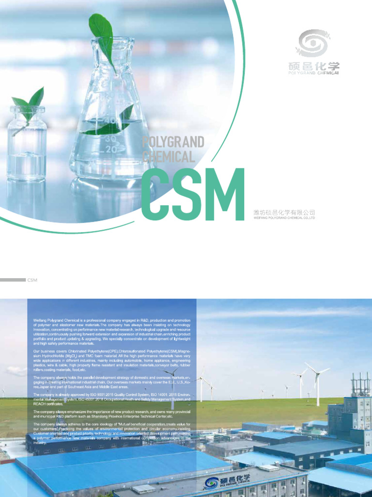 CSM 单页 | PDF