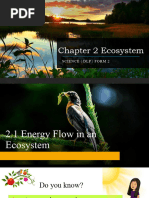 Science Form 2 Notes | PDF | Digestion | Water