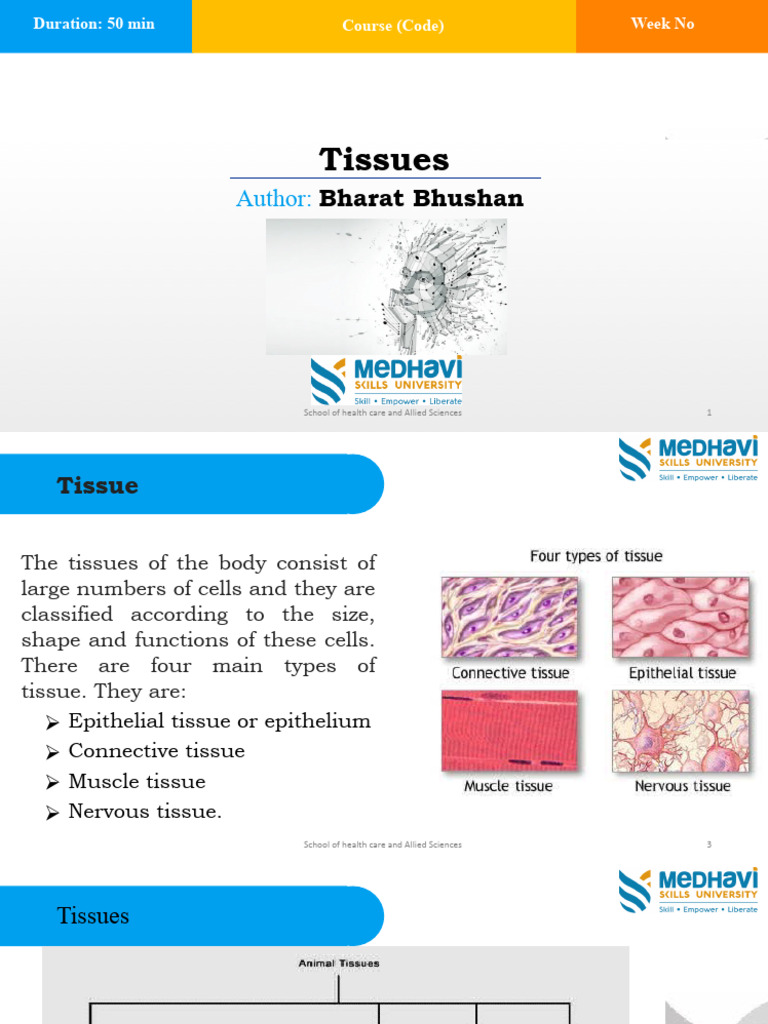 Tissue | PDF | Tissue (Biology) | Epithelium