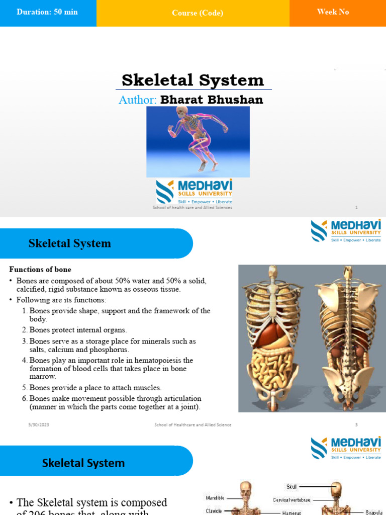 Skeletal System | PDF | Skeleton | Pelvis
