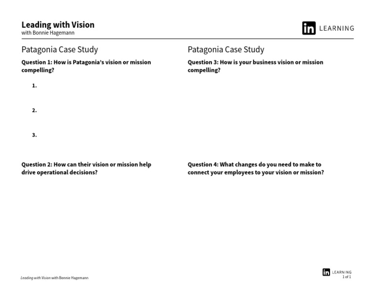 Patagonia Case Study | PDF