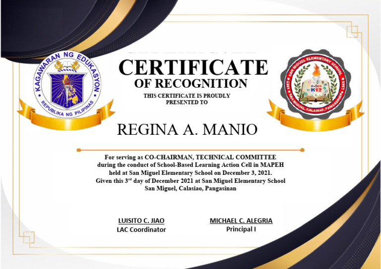 Certificate As Chairman by Luis | PDF