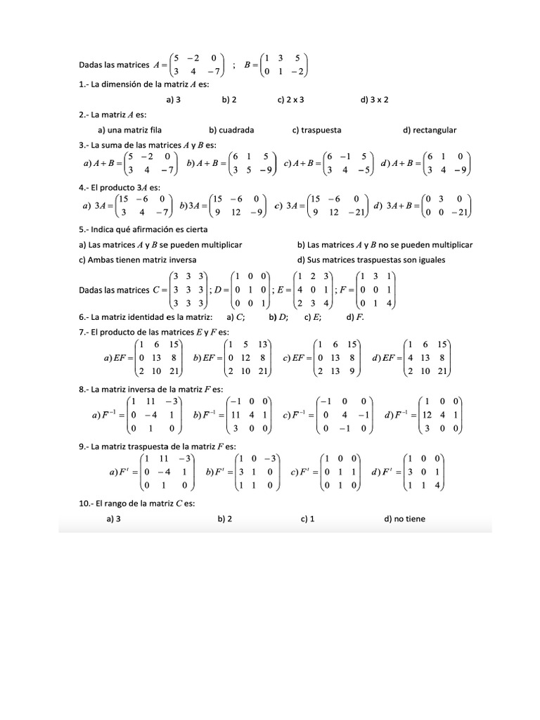 Examen Matrices | PDF