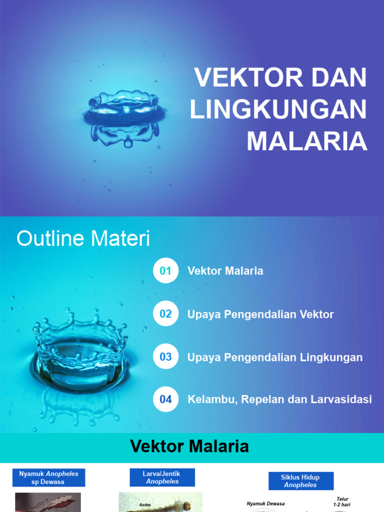 Materi 4 - Vektor Dan Lingkungan Malaria (P2 Malaria Dinkes Paser) | PDF