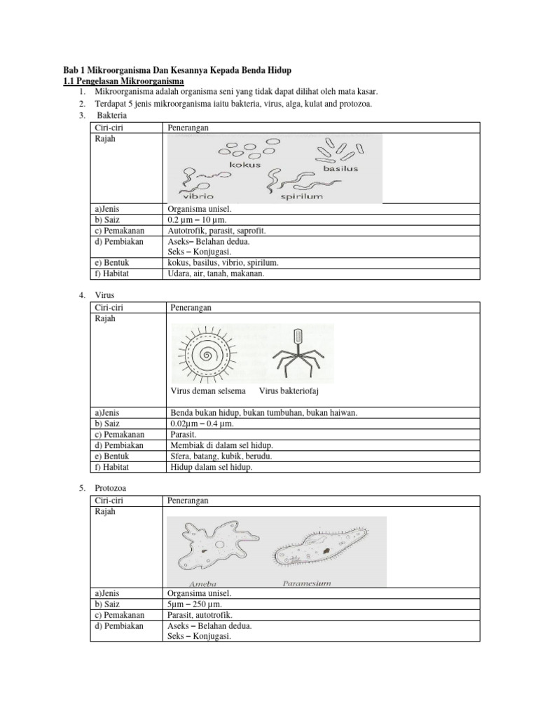 Nota Sains SPM T5 Bab 1 - 4 | PDF | Kesehatan Holistik
