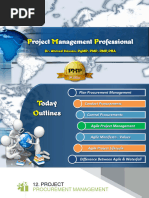 Procurement Plan Template | PDF | Procurement | Request For Proposal