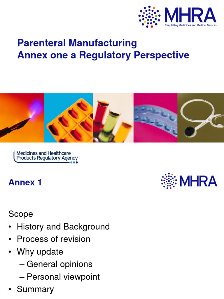 Annex - 1 Revision Why It Is Required | PDF