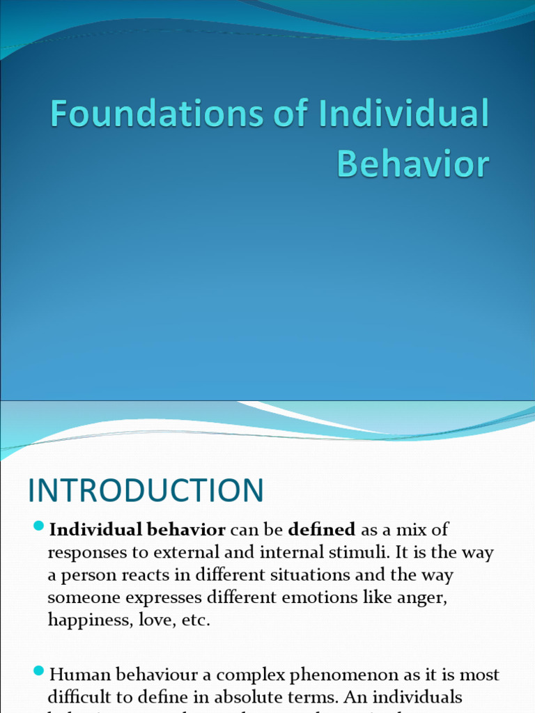 3 Foundations of Individual Behavior | PDF