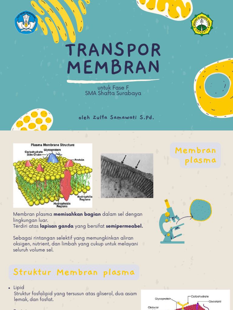 Transpor Membran Compressed | PDF