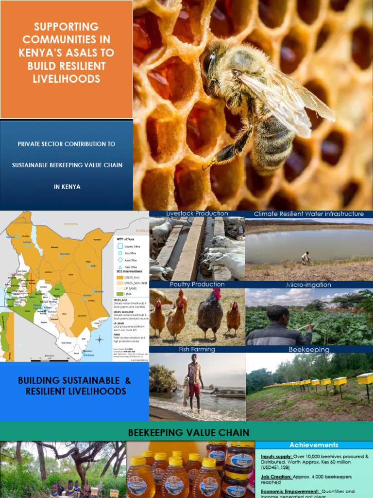 Beekeeping Business and Sustainability Model - 1 | PDF | Beehive | Beekeeping