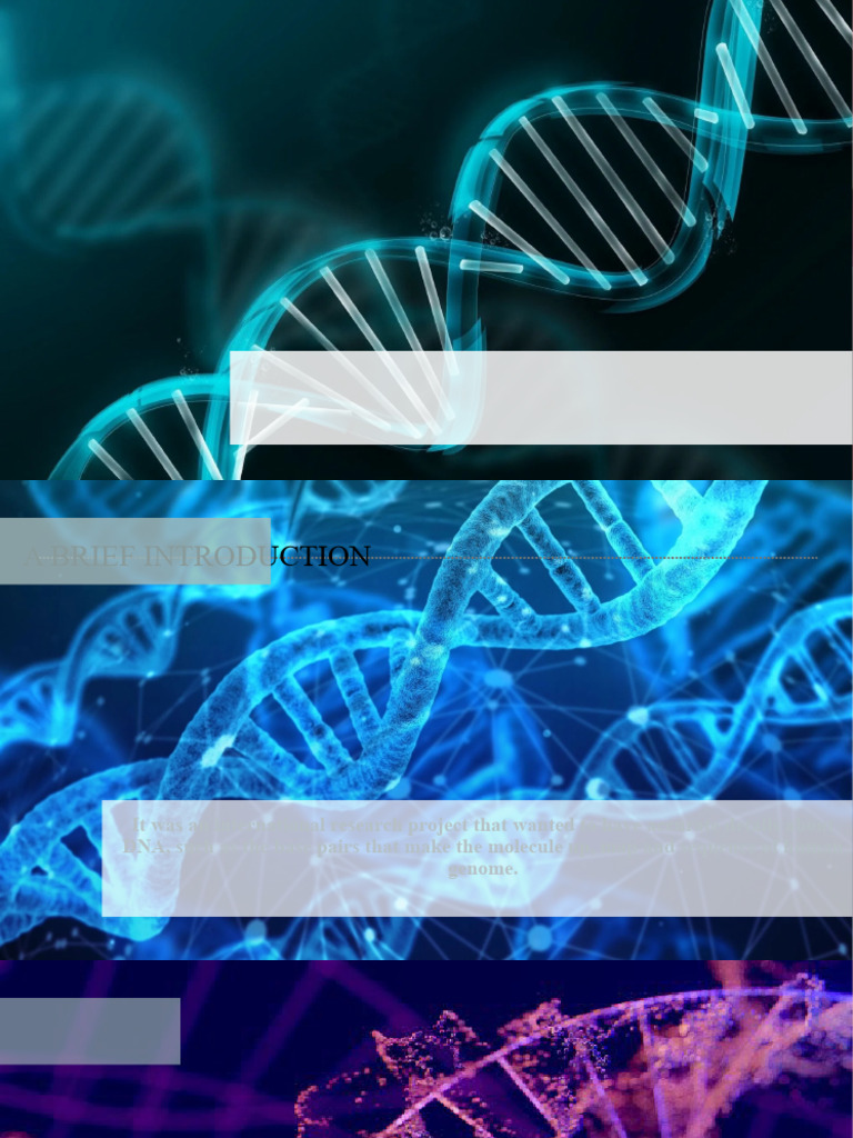 Human Genome Project Overview | PDF | Science & Mathematics