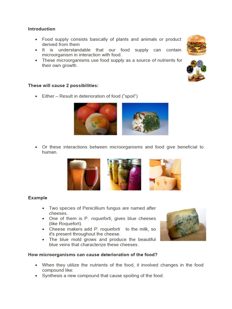 Food Microbiology | PDF | Lactobacillus | Microorganism