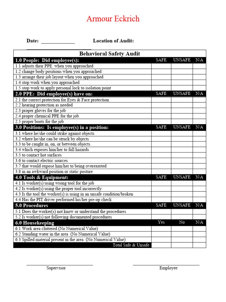 Behavioral Safety Audit Form | PDF