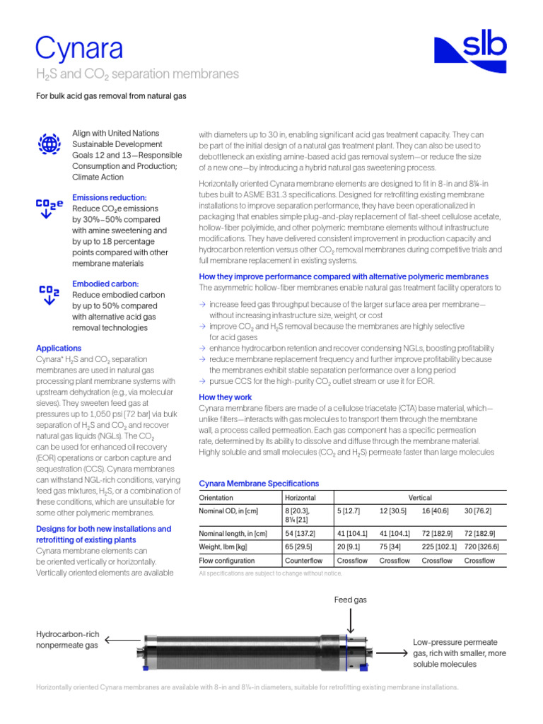 Cynara Ps | PDF | Membrane | Gases