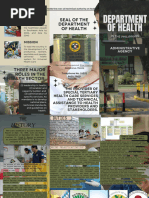 DOH Organizational Chart & Roles | PDF