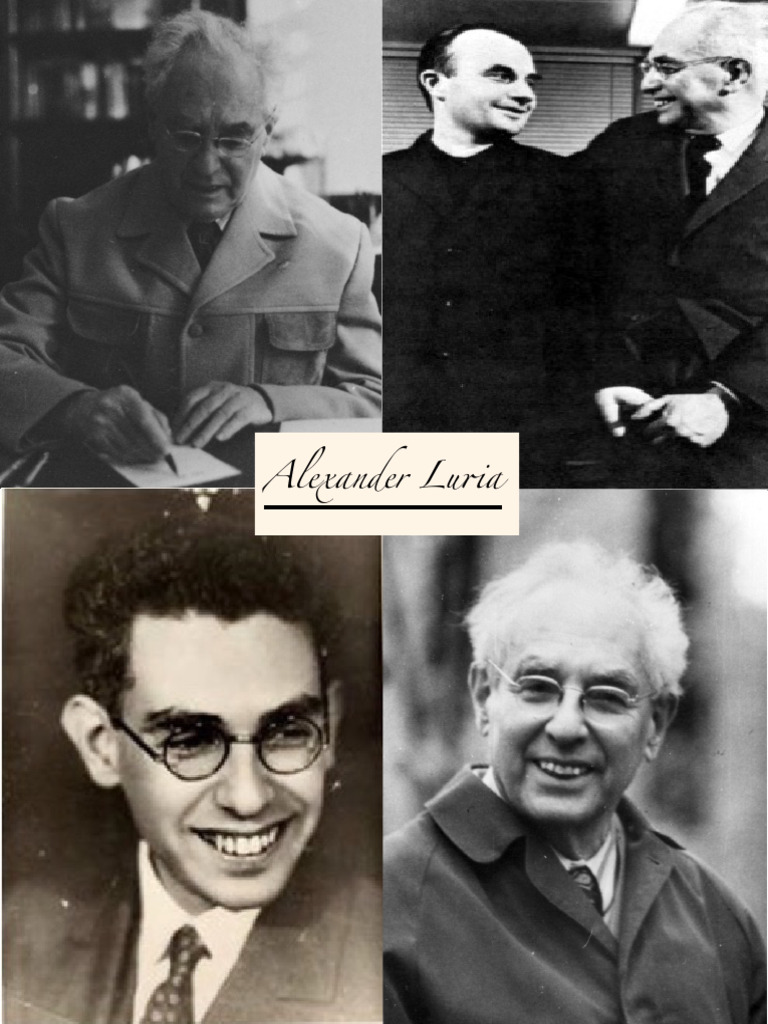 Trabajo Luria | PDF | Neuropsicología | Cerebro