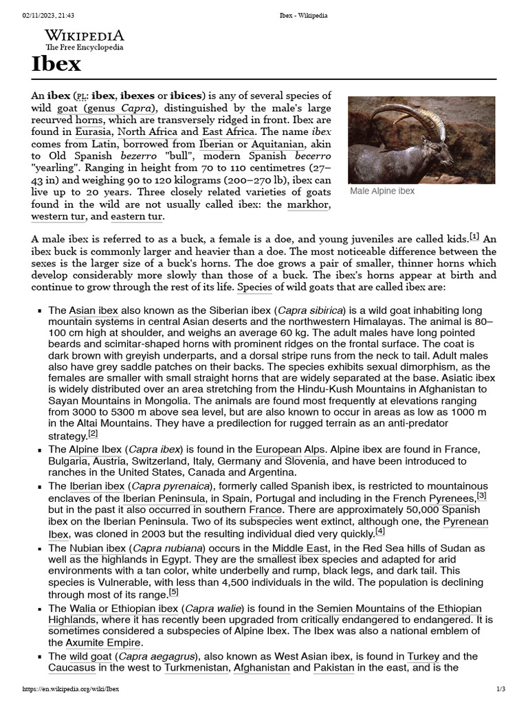 Ibex - Document | PDF