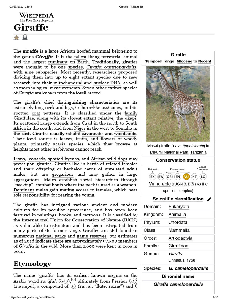 Giraffe - Document | PDF | Giraffe
