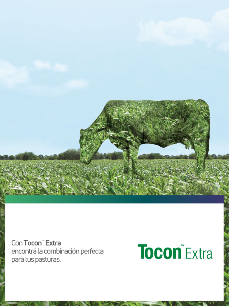 Tocon | PDF | Arboles | Plantas