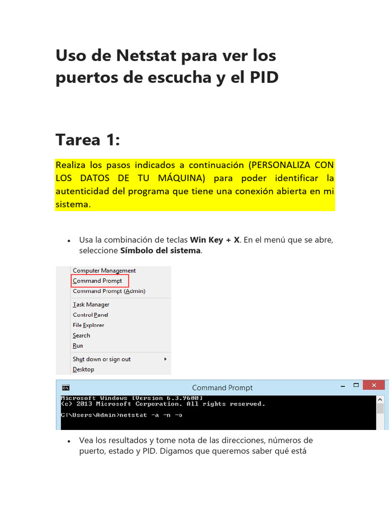 UD1-P1. Uso de Netstat en Windows | PDF