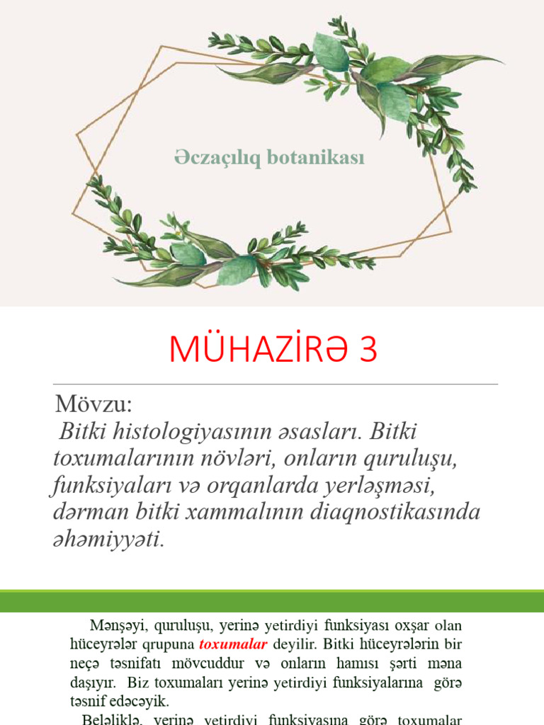 MUHAZIRE 3 Az 1 Sem | PDF