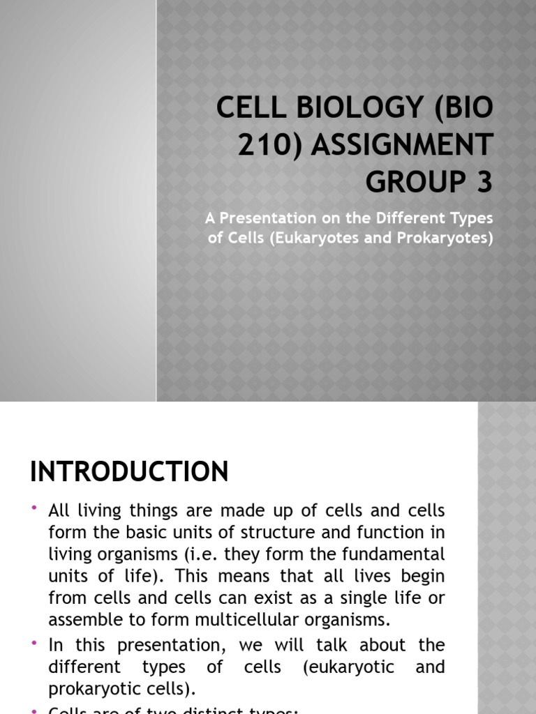 Cell Biology Assignment Gr. 3 | PDF | Bacteria | Cell (Biology)