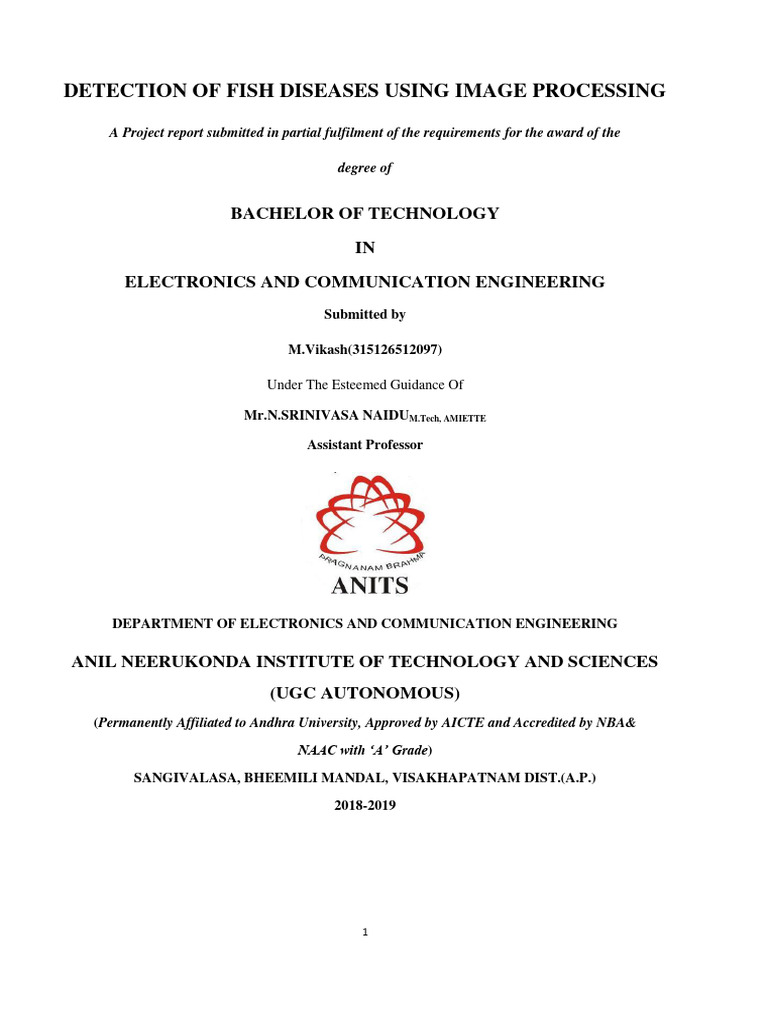 Fish Disease Detection Report | PDF | Image Segmentation