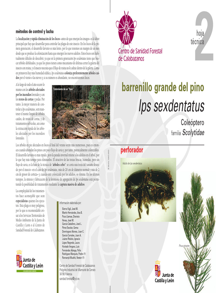 Ficha 2 Ips Sexdentatus Pdf