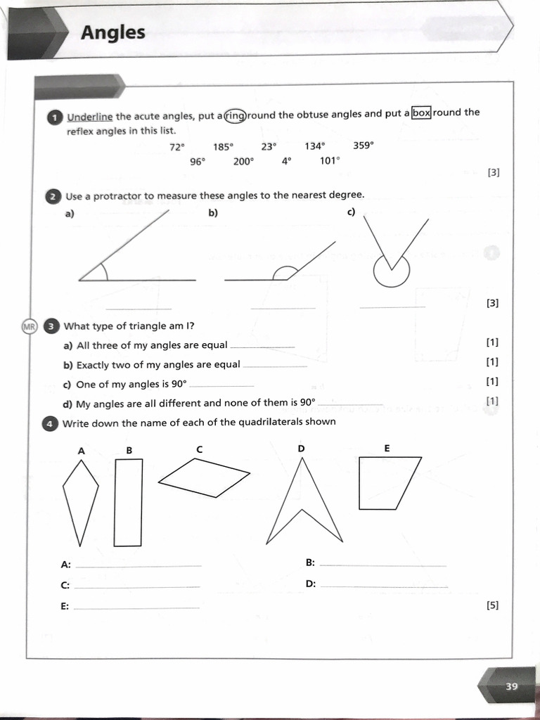 Y7 Revision 9 Angles | PDF