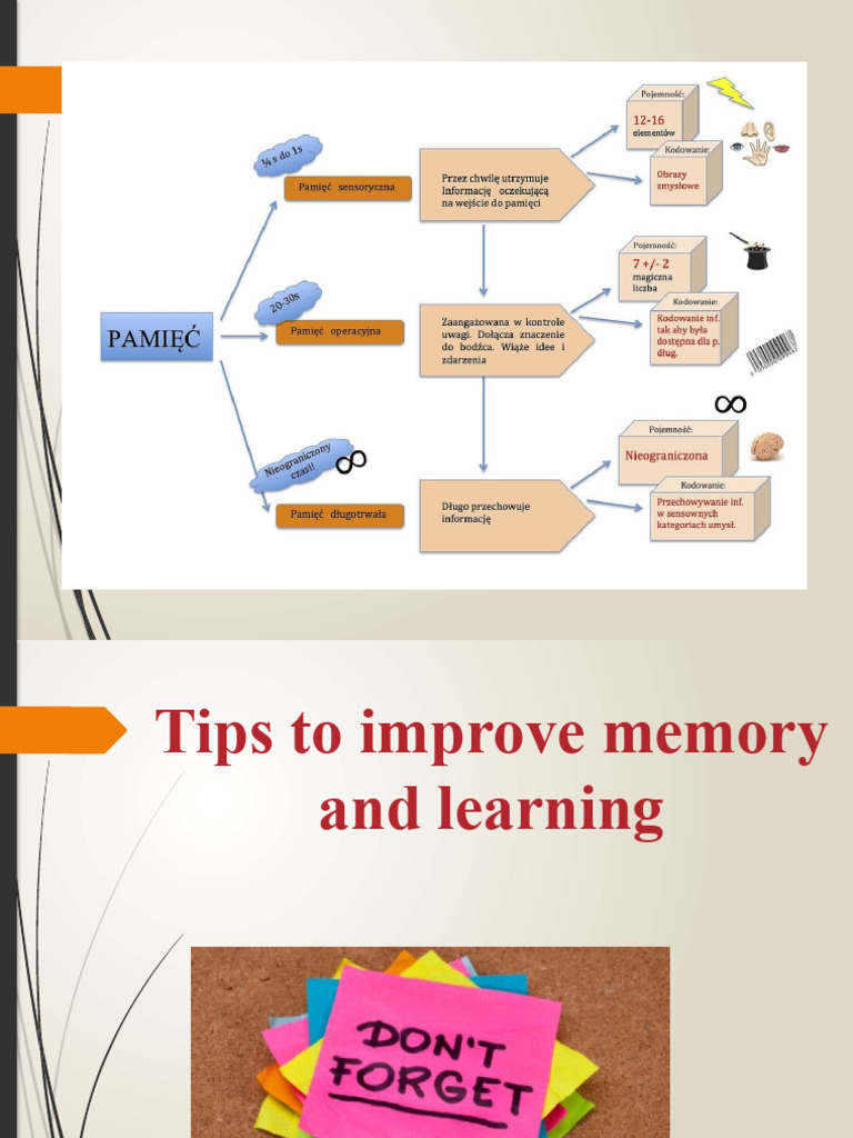 Tips To Improve Memory | PDF