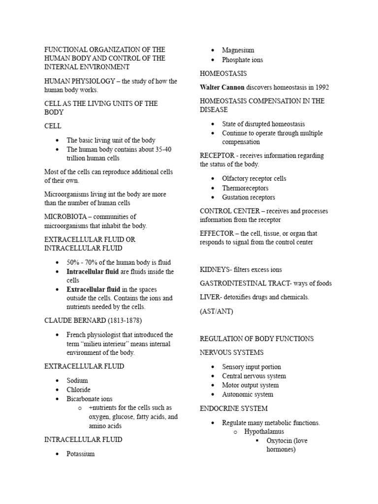 Report Anaphy Lec | PDF