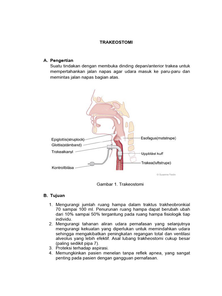 Materi Trakeostomi | PDF | Sains & Matematika