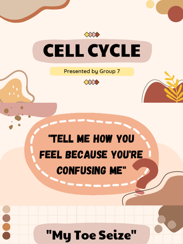 Cell Cycle | PDF | Cell Cycle | Mitosis