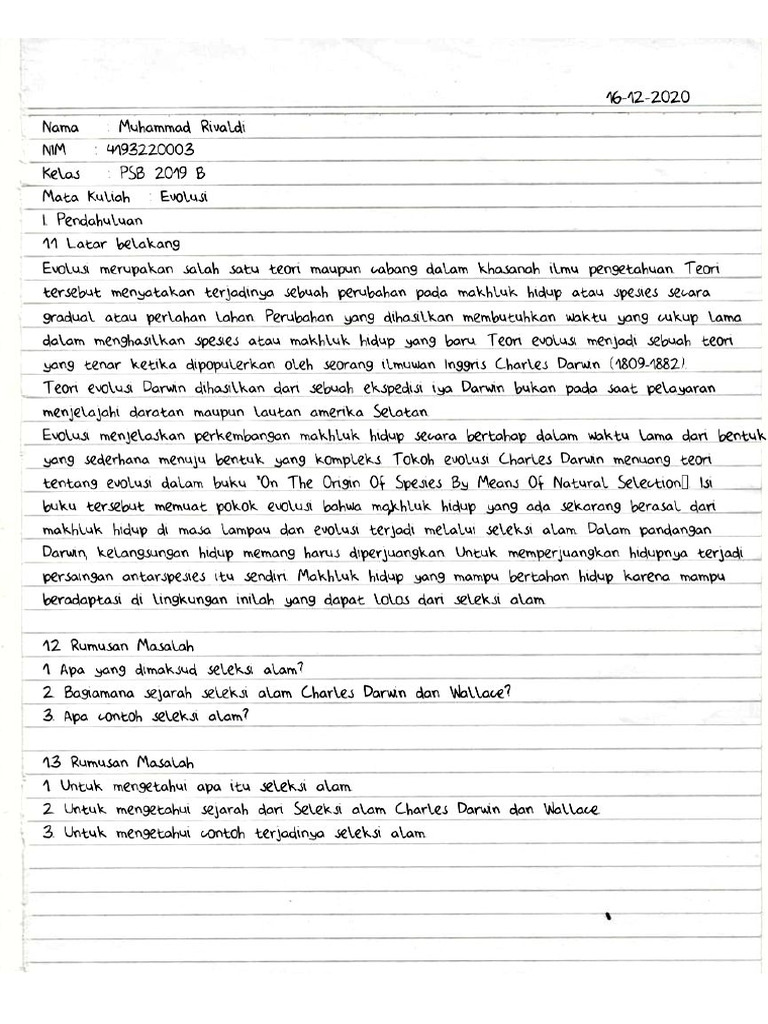 Draf Evolusi Rivaldi | PDF