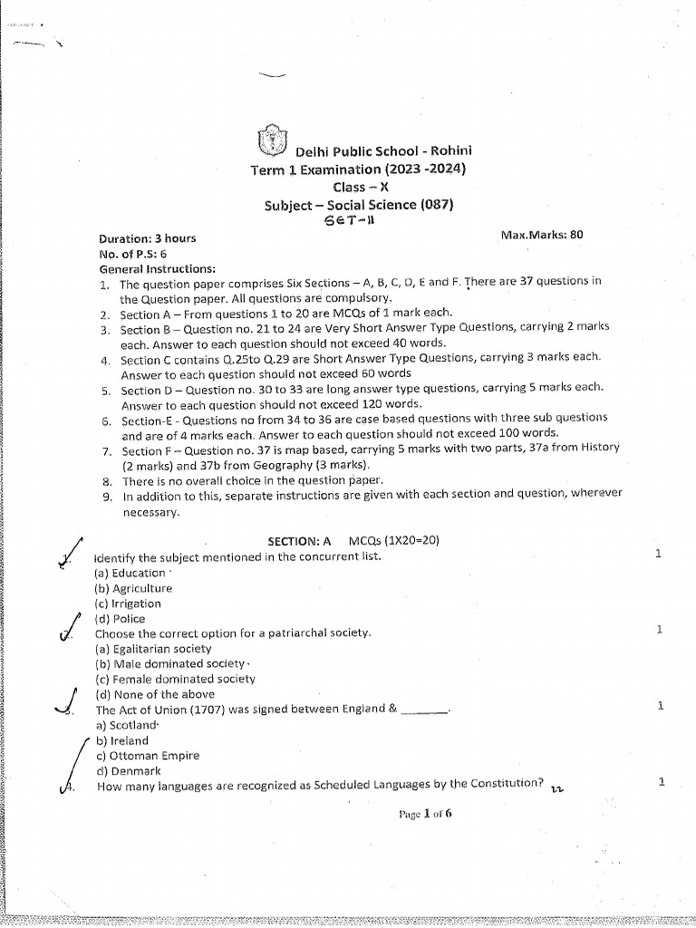 DPS Class 10 Social Science | PDF