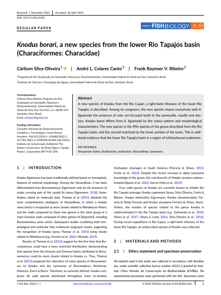 New Knodus Species from Rio Tapajós | PDF | Anatomical Terms Of ...