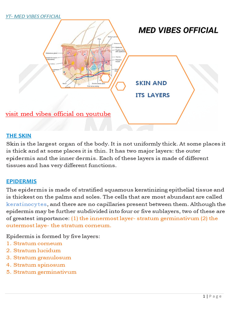 Best Notes of Skin | PDF