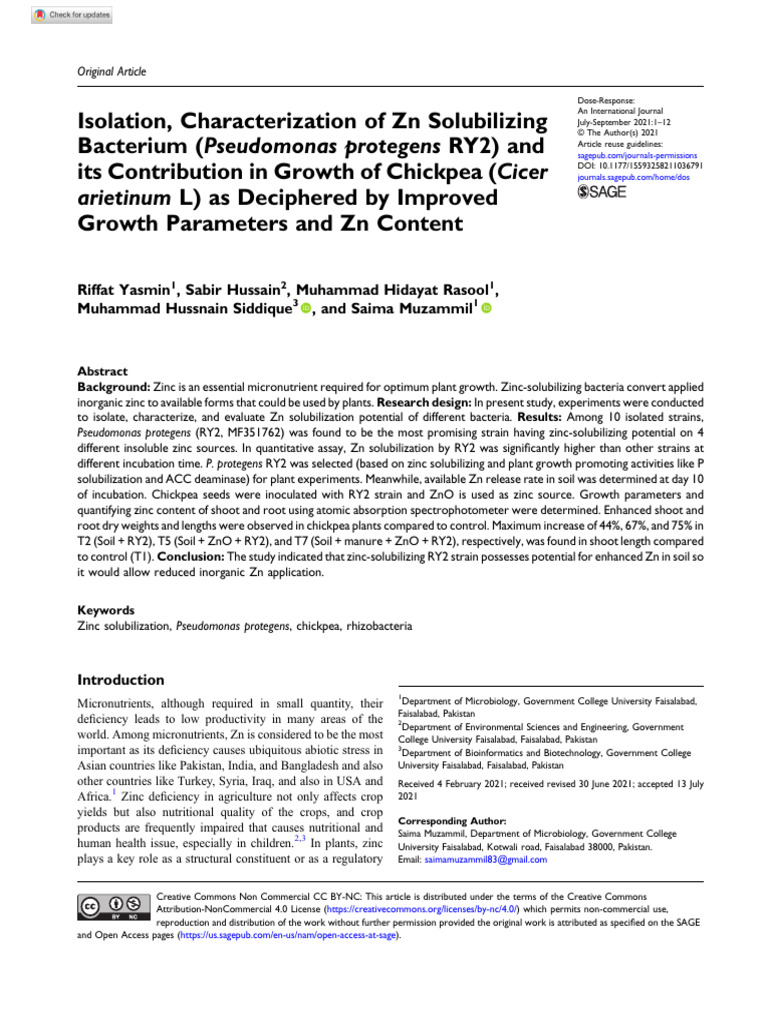 ZN Solubilizing Bacteria ISOLATION | PDF | Zinc | Soil