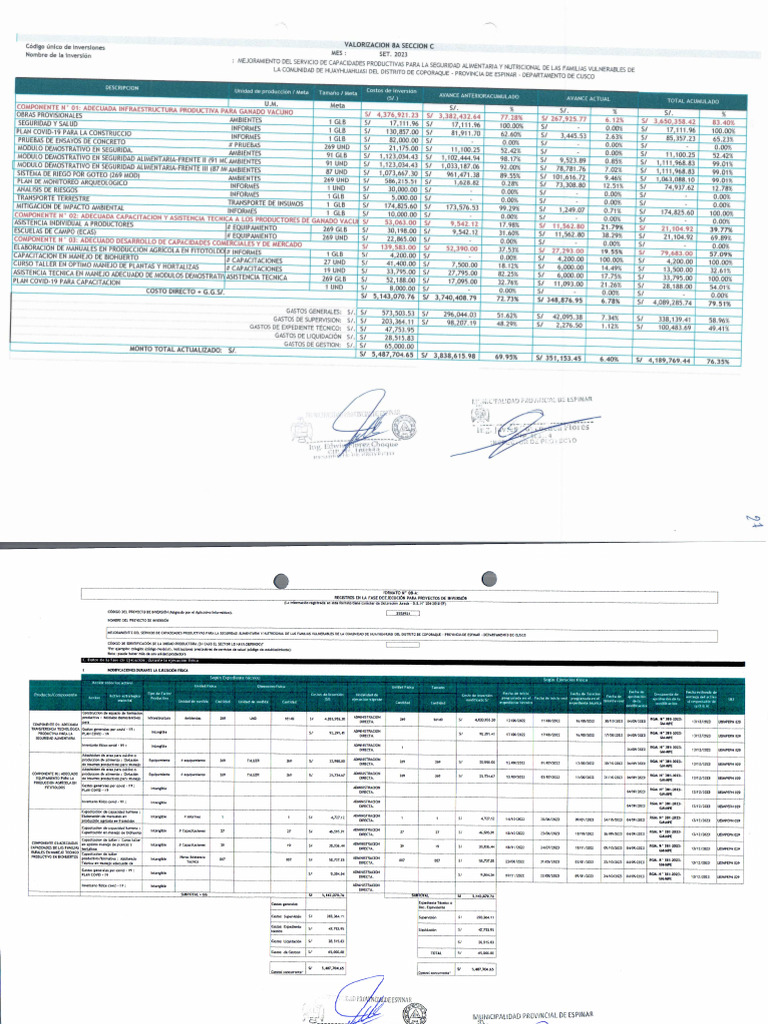 Formato 8a Seccion C | PDF