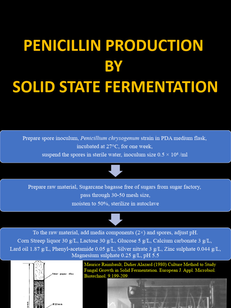 Penicillin Production by Solid State Fermentation | PDF