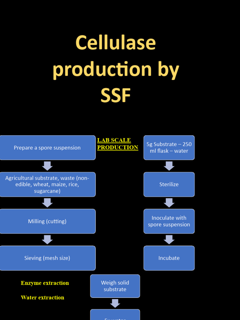 Cellulase Production by SSF | PDF | Chemistry | Industrial Processes