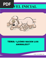 Nacimiento de Animales: Sesión Educativa | PDF | Aprendizaje | Evaluación