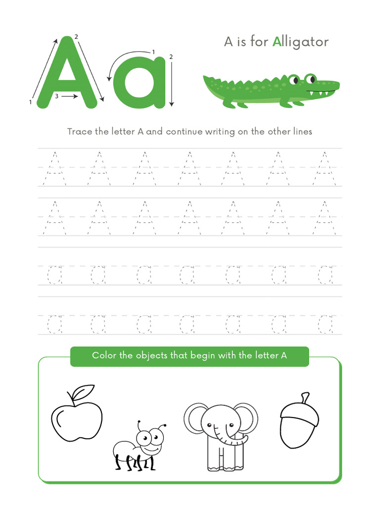 Pre K Alphabet Letters Tracing CreativeFabrica | PDF | Organisms | Fauna
