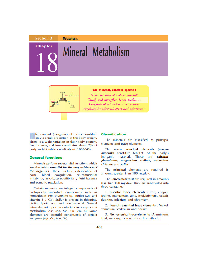 Mineral Metabolism | PDF