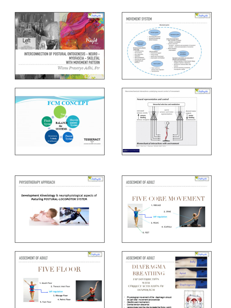 Materi Postural Ontogenesis | PDF | Motor Control | Skeletal Muscle