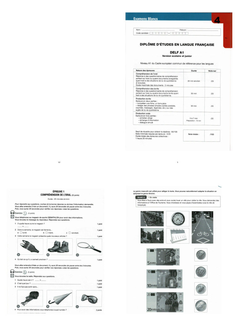 Delf Junior A1 Simulacro 4 | PDF