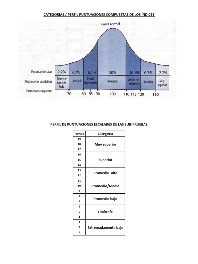 Perfil de Puntuaciones | PDF