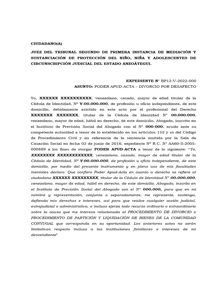 Modelo Poder Apud-Acta (Nelson) | PDF